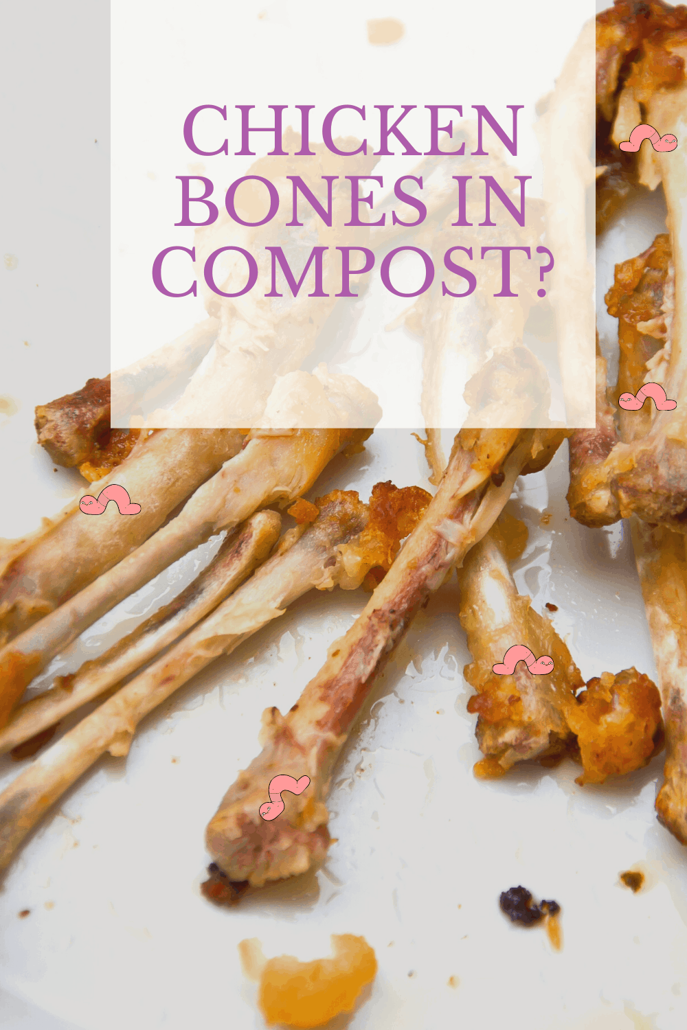 Chicken Bones In Compost Will Worms Eat Chicken Bones 