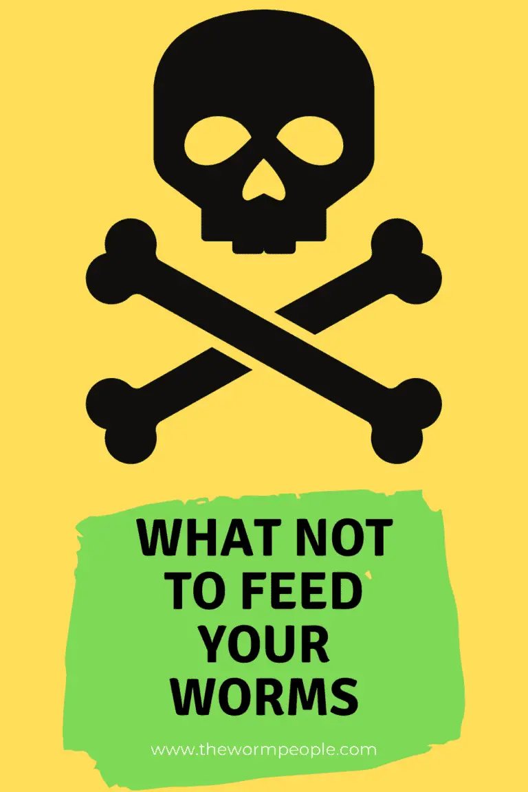 A List Of What To Not Feed Your Worms TheWormPeople
